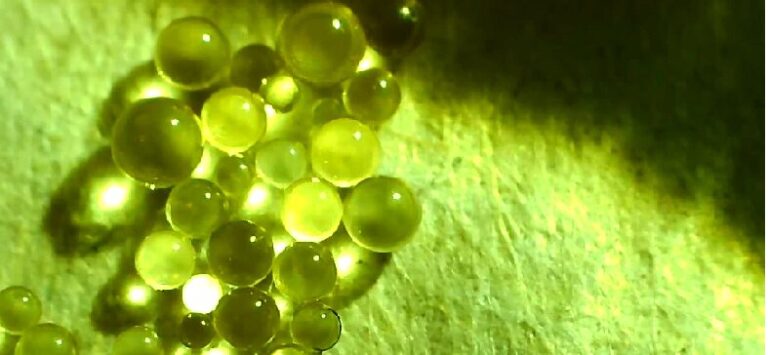 イオン交換樹脂の性能評価方法とポイント② - イオン交換樹脂のことなら【レジンライフ株式会社】